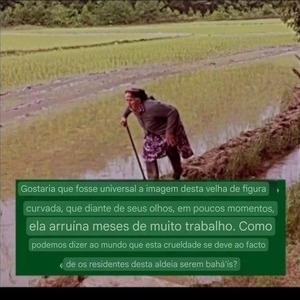 A Humanidade Unida: Redefinindo Liderança e Justiça para um Futuro ...